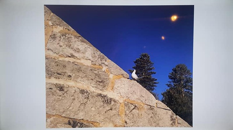 아름다운 서호주의 자연을 프레임 안에 넣다